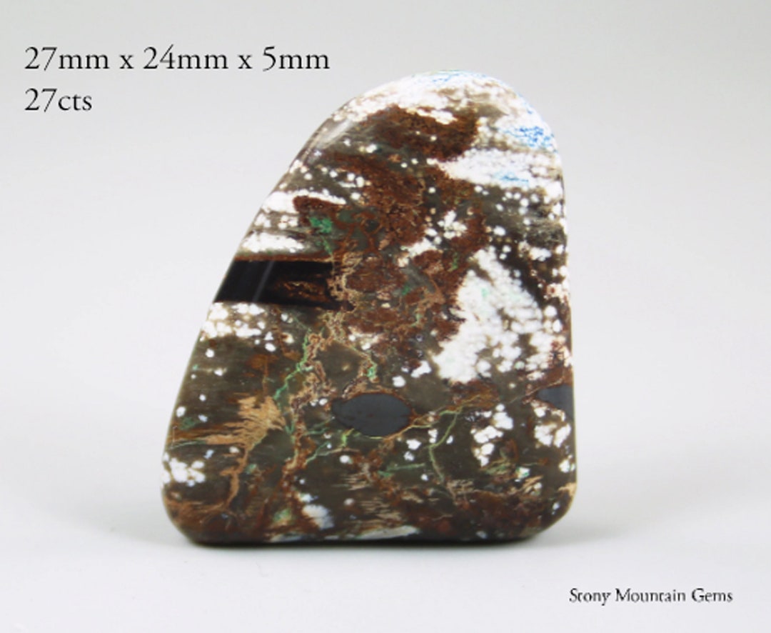 Colla Wood Designer Cabochon Freeform Petrified Wood - Etsy