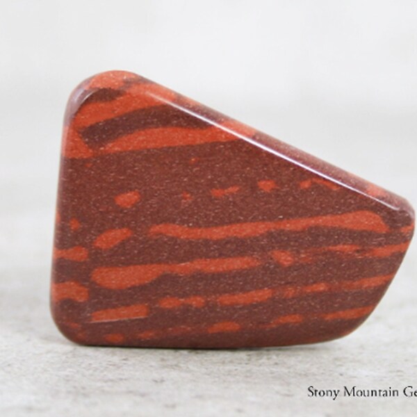 Zebra Print Jewelry - Etsy