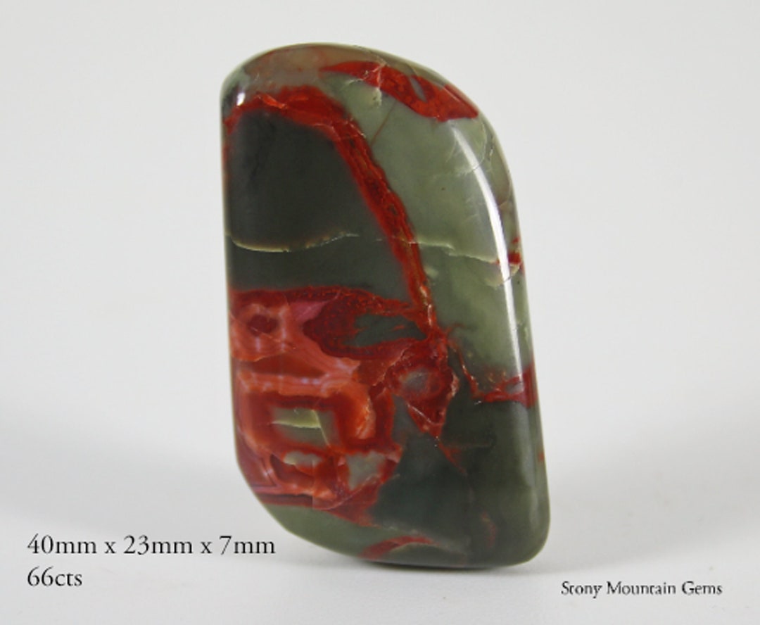 Coprolite Designer Cabochon, Rare Fossil Cabochon, Agatized Dinosaur ...