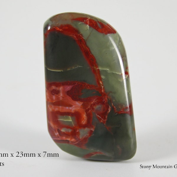 Coprolite - Etsy