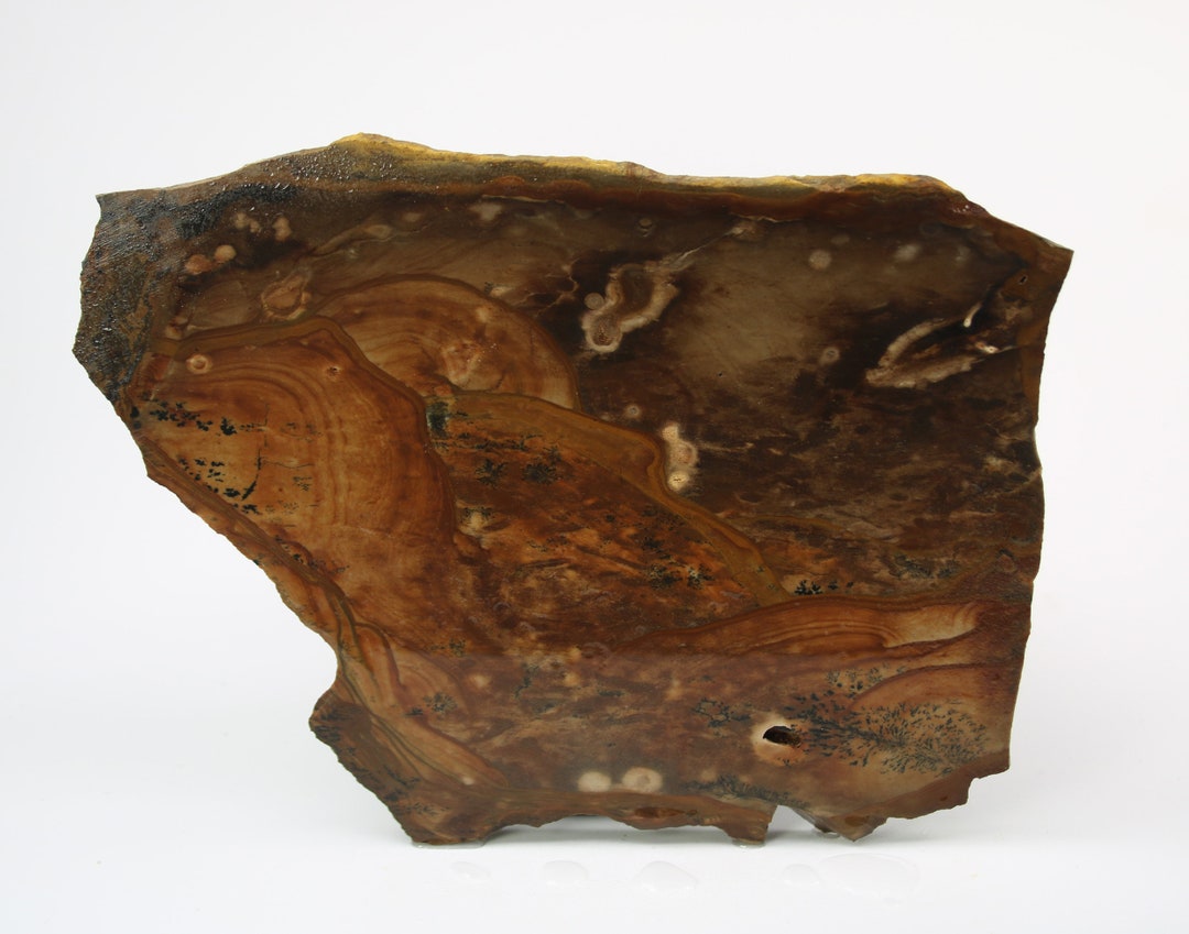 Lapidary Rough Biggs Jasper Rough Slab Specimen, Natural Unpolished ...