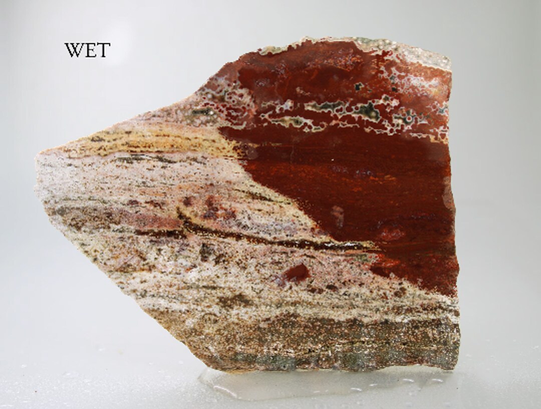 Lapidary Slab Ocean Jasper Rough Slab Specimen Natural - Etsy