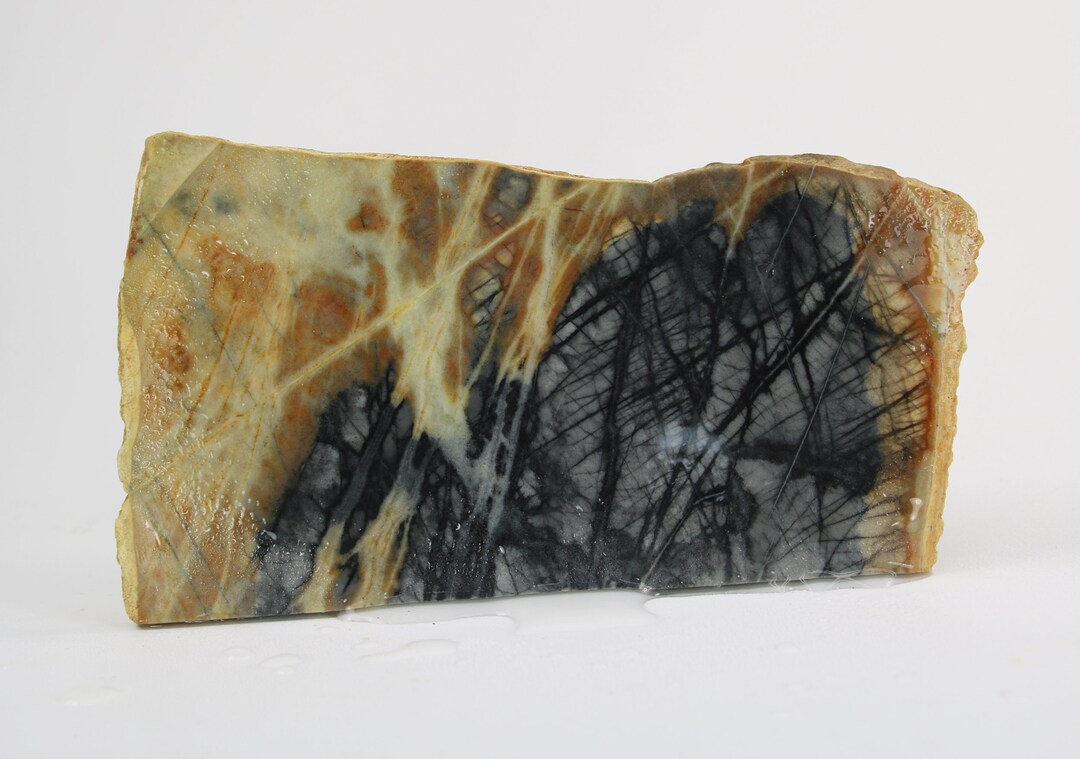 Lapidary Slab, Picasso Marble Rough Rock Slab, Collectable Unpolished ...