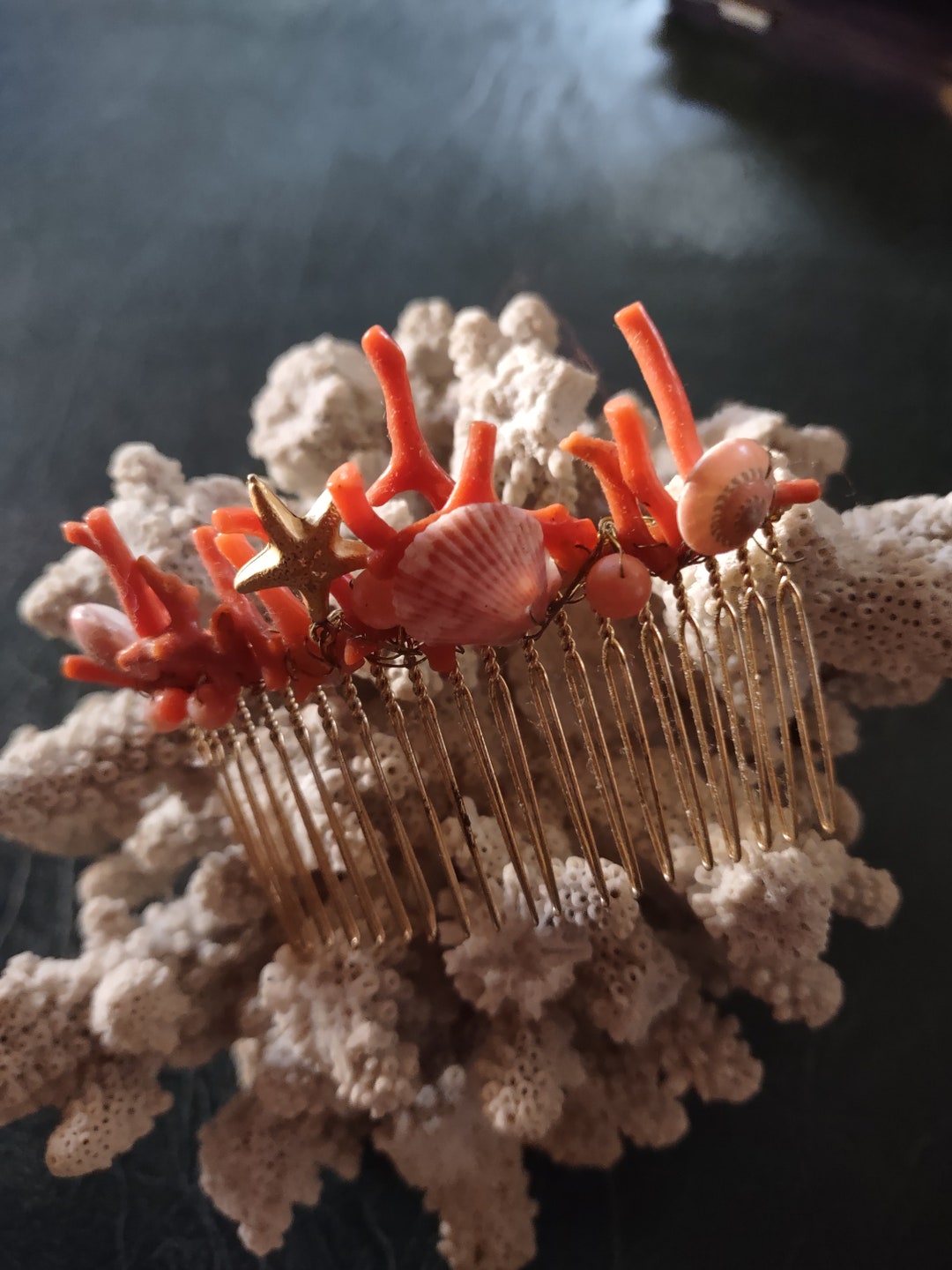 Handsome Vintage Branch and Angel Coral Comb With Sea Shells - Etsy