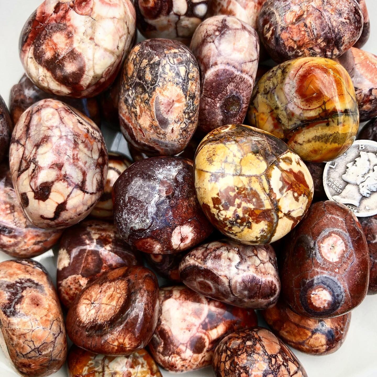 Red Rhyolite Bird's Eye Red Rhyolite Tumbled Pocket | Etsy