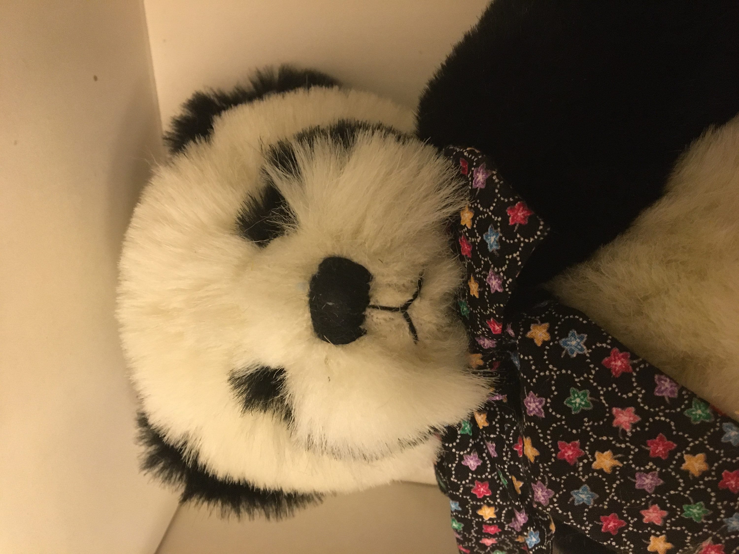 Annette Funicello Plush Bear - Etsy