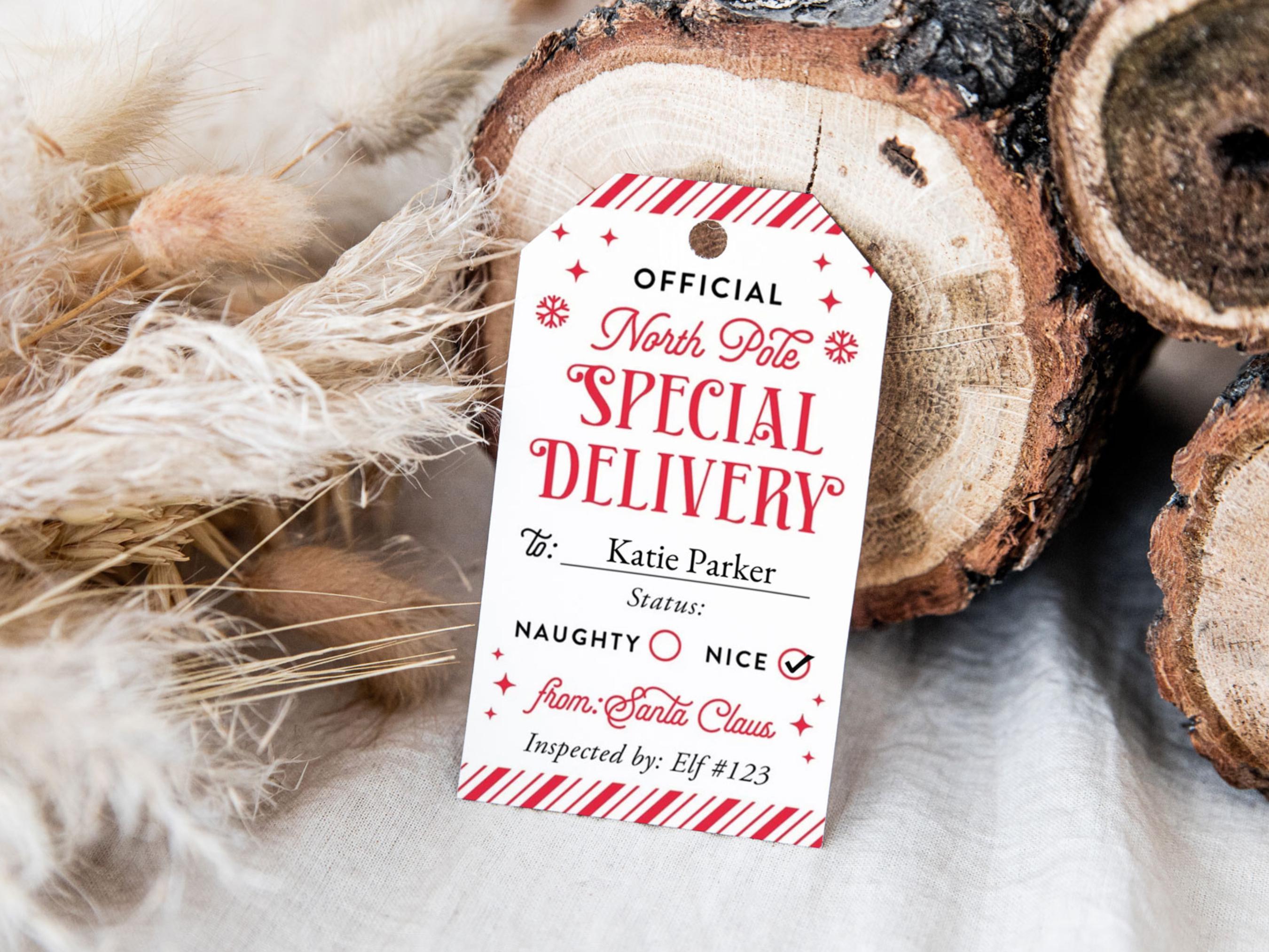 North Pole Special Delivery, Official From Santa, Printable Christmas ...