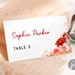 Editable Table Place Cards Flat and Folded Name Cards - Etsy
