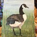 Hand painted Canadian Goose Slate | Etsy