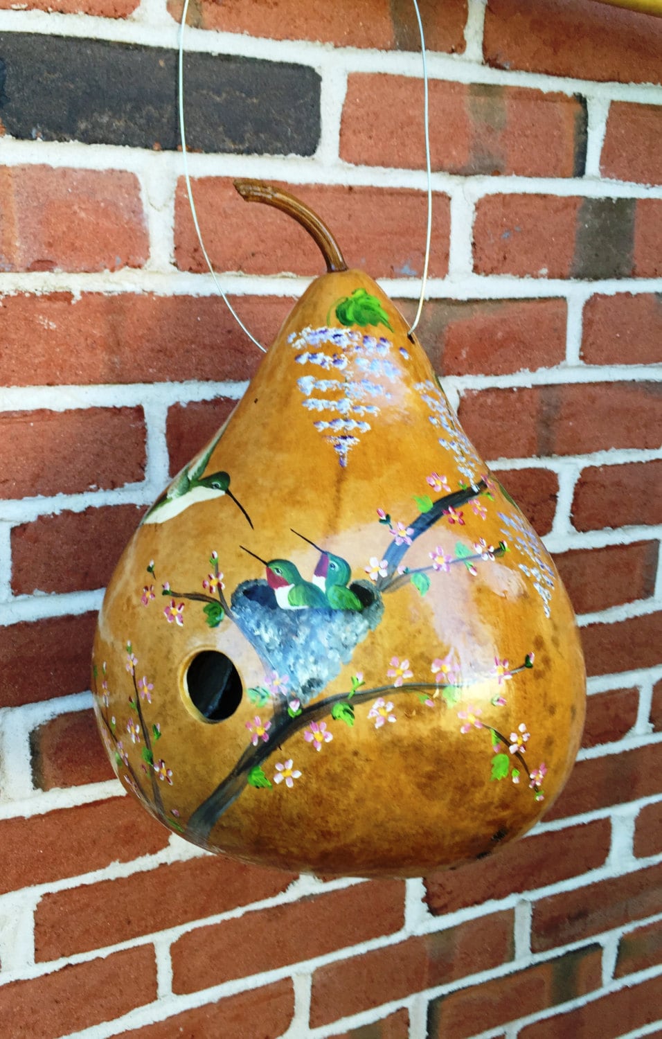 Handpainted Gourd Birdhouse With Hummingbird and Nest - Etsy