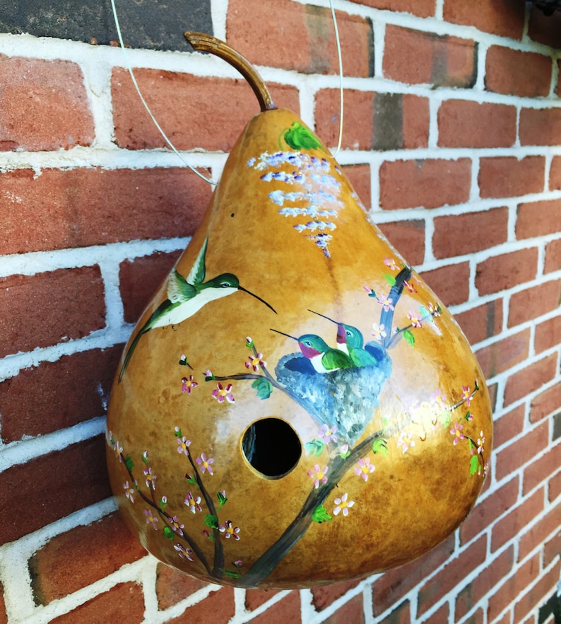 Handpainted Gourd Birdhouse With Hummingbird and Nest - Etsy