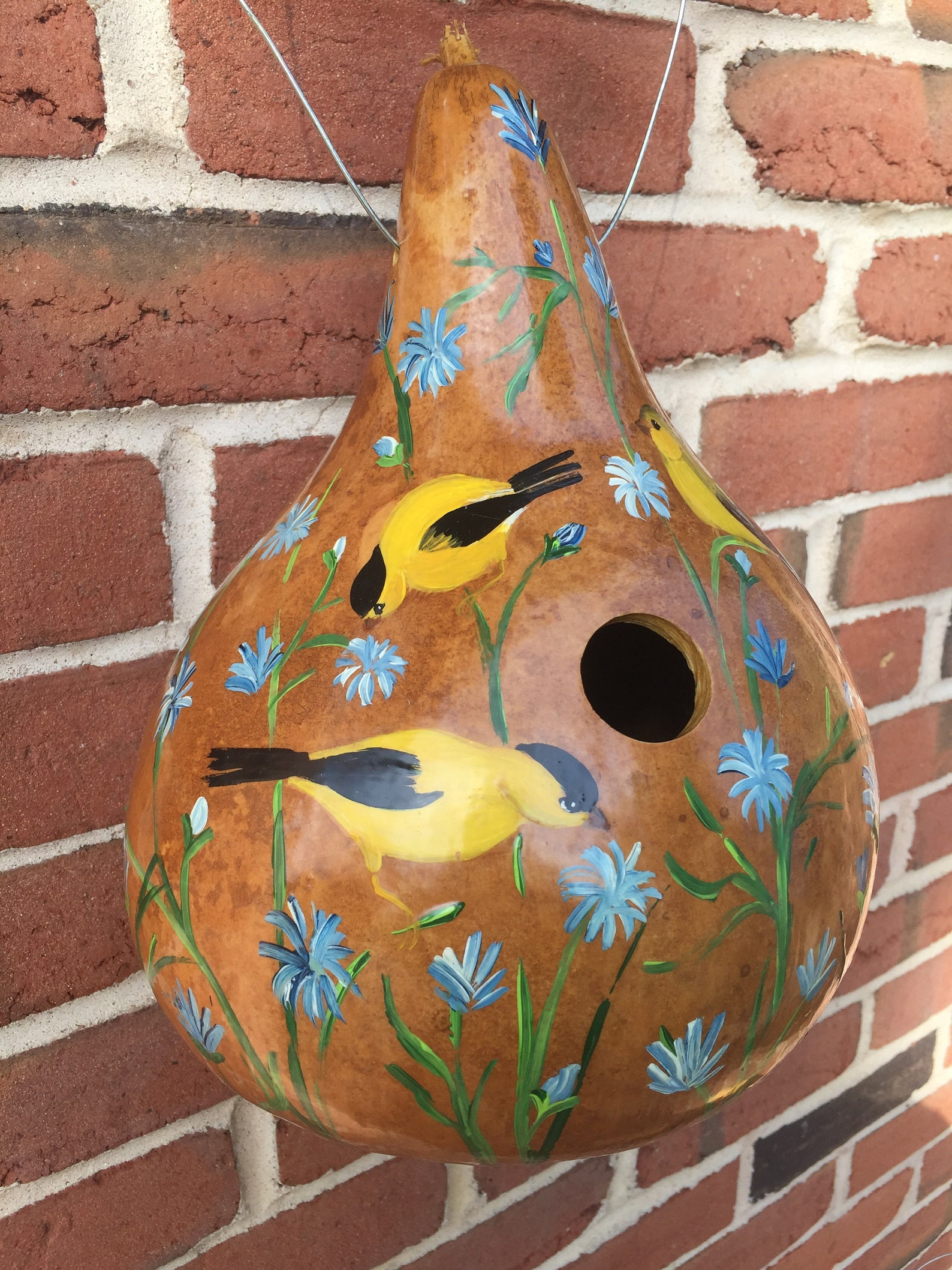 Handpainted Gourd Birdhouse With Goldfinches and Wildflowers - Etsy