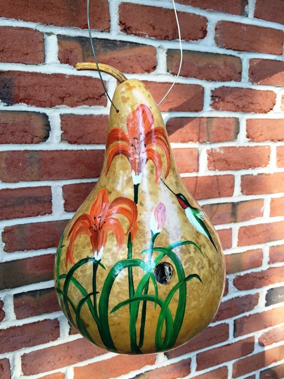 Handpainted Gourd Birdhouse With Hummingbirds and Lilies - Etsy