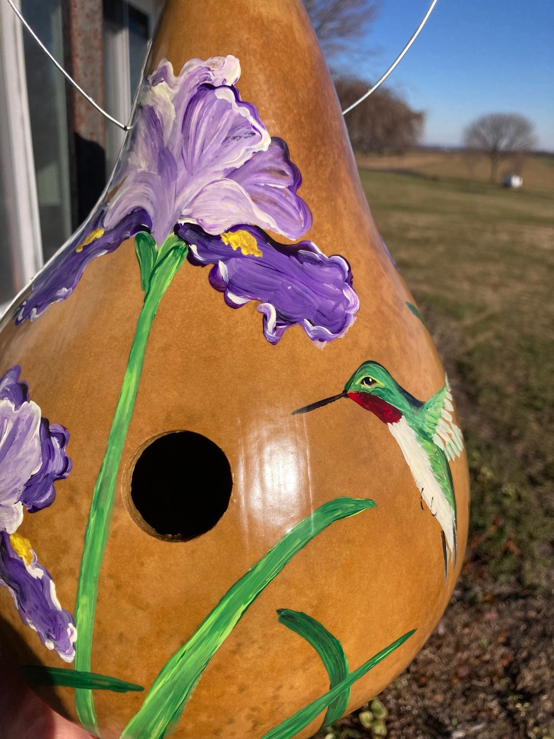 Handpainted Gourd Birdhouse With Hummingbird With Purple Iris Flowers ...