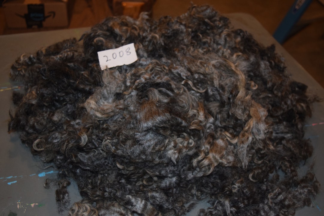 2008 Helga Gotland Raw Wool Winter Fleece - Etsy