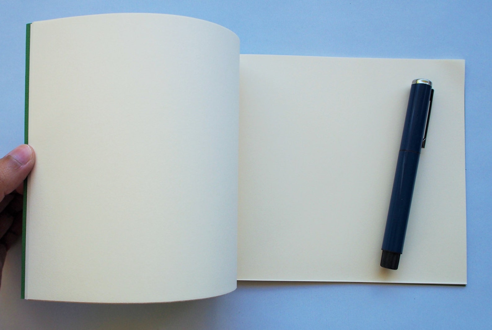 Unique Hand-bound Notebooks With Decorative Spine Designs in Forest ...