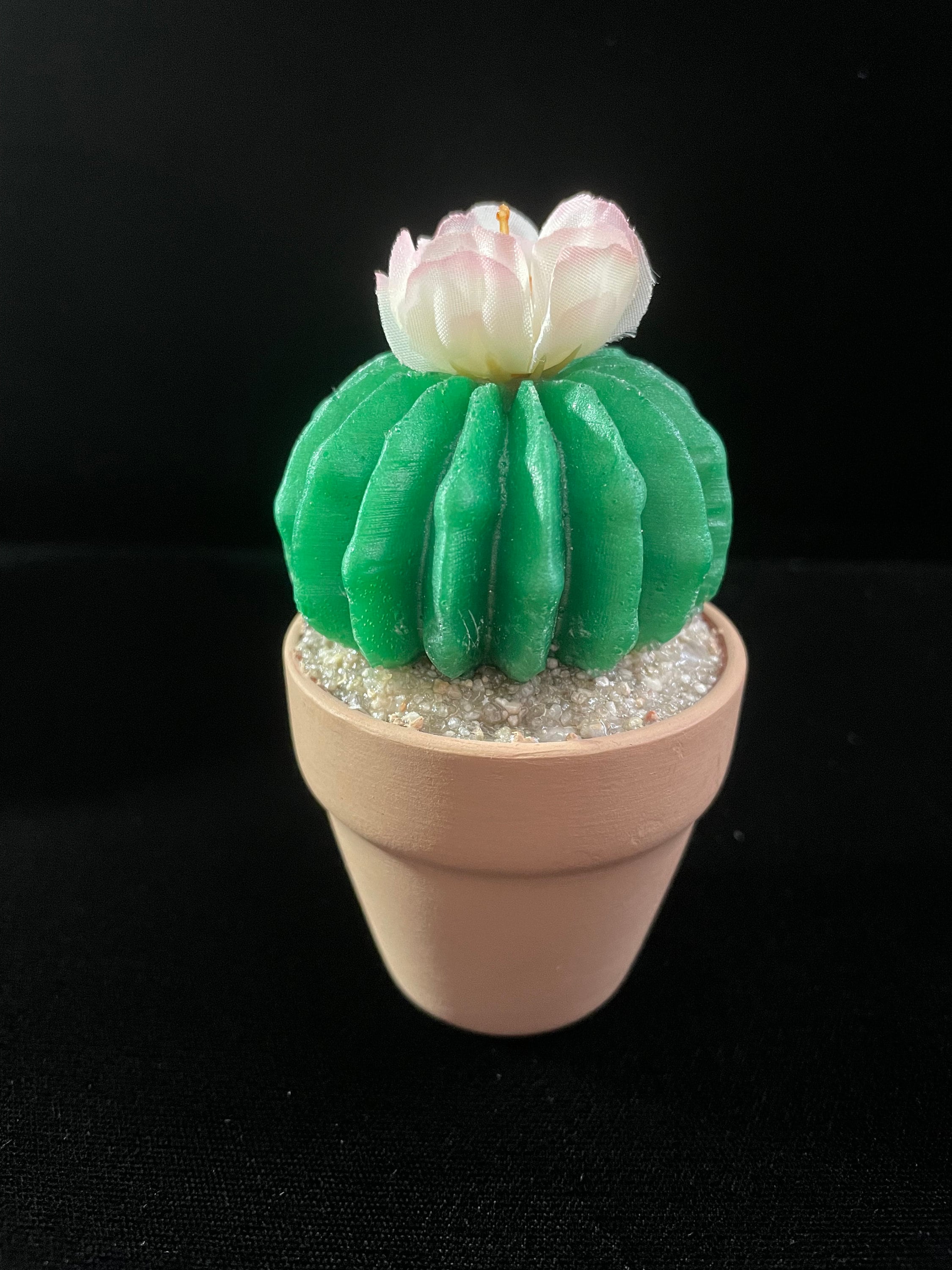 Resin Cactus, Potted Resin Cactus, Potted Plant, Flowering Cactus ...