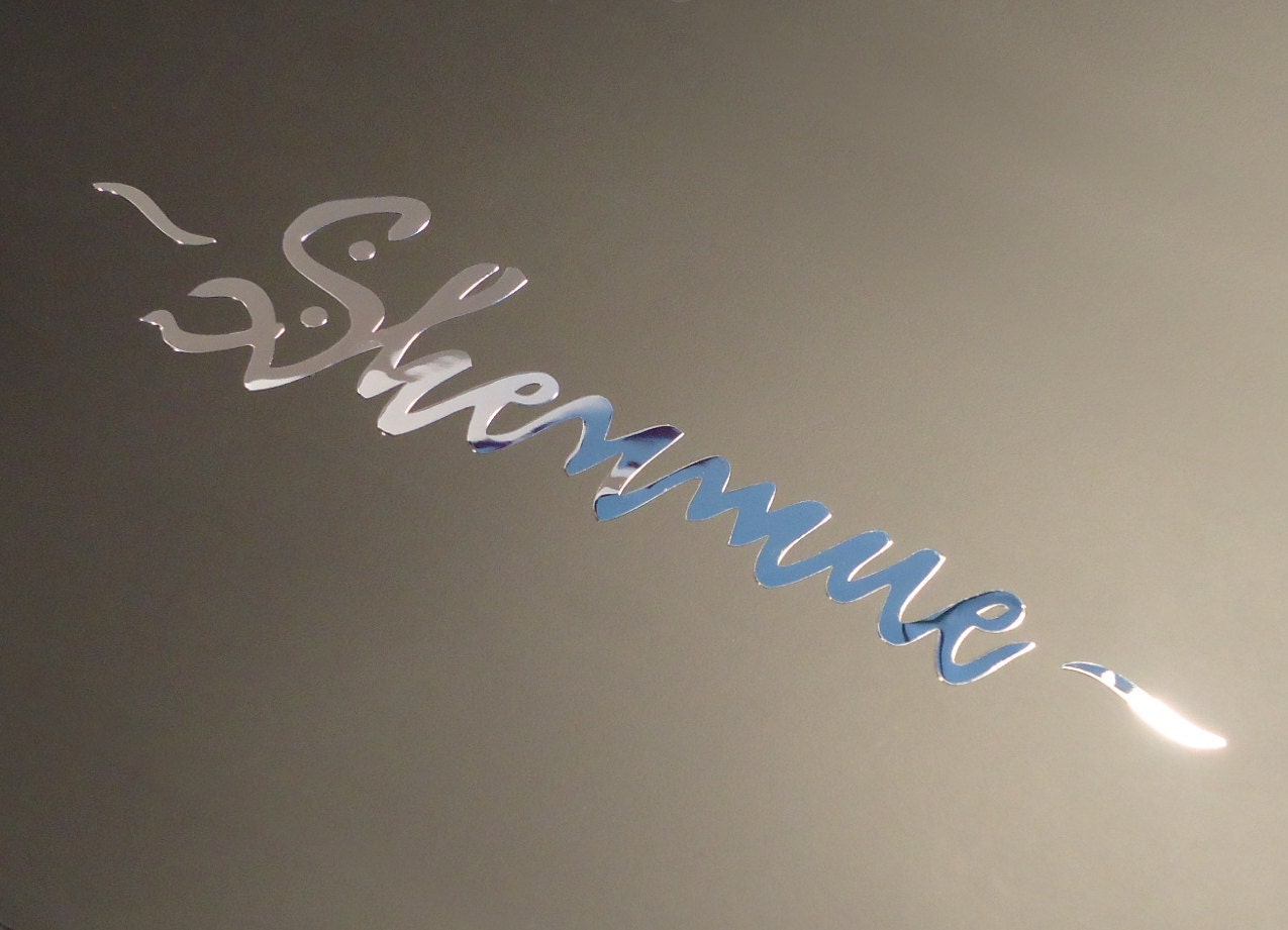 Shenmue Label / Aufkleber / Sticker / Badge / Logo 14 X 31cm | Etsy