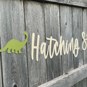 Hatching Soon Dinosaur Banner | Dinosaur Baby Shower Decor - Etsy