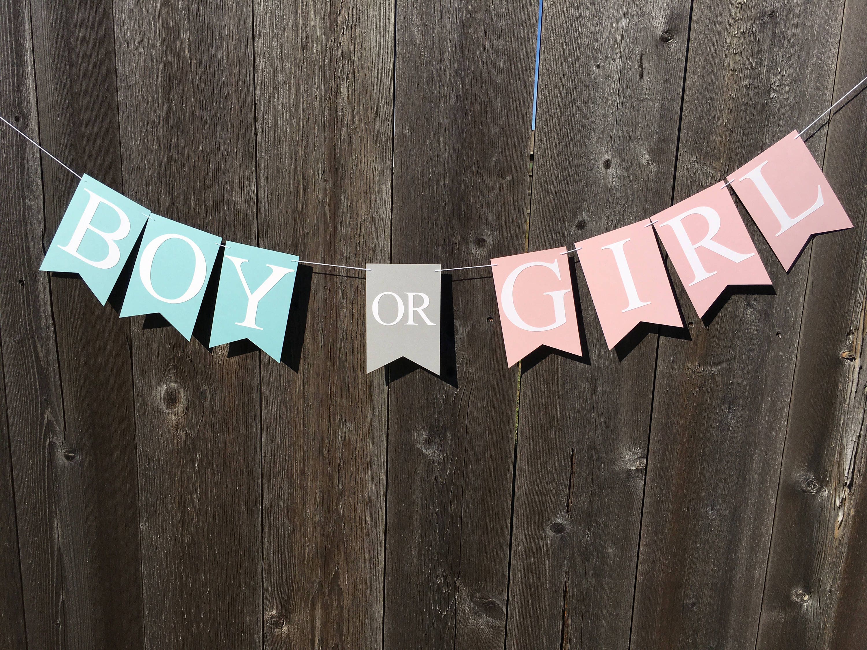 BOY or GIRL Gender Reveal Banner Gender Reveal Banner - Etsy