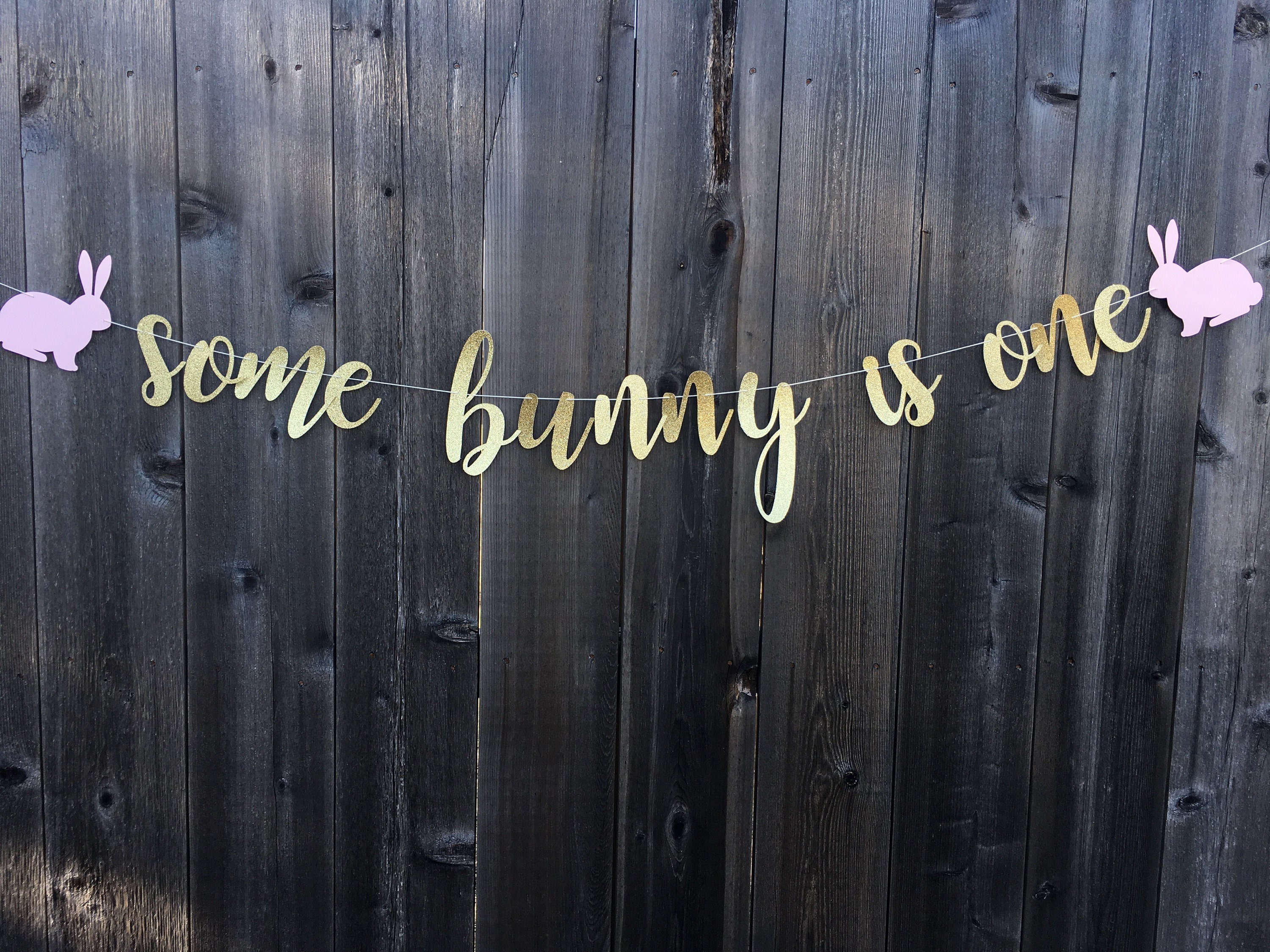 Some Bunny is One Banner Some Bunny is 1 Spring Birthday - Etsy