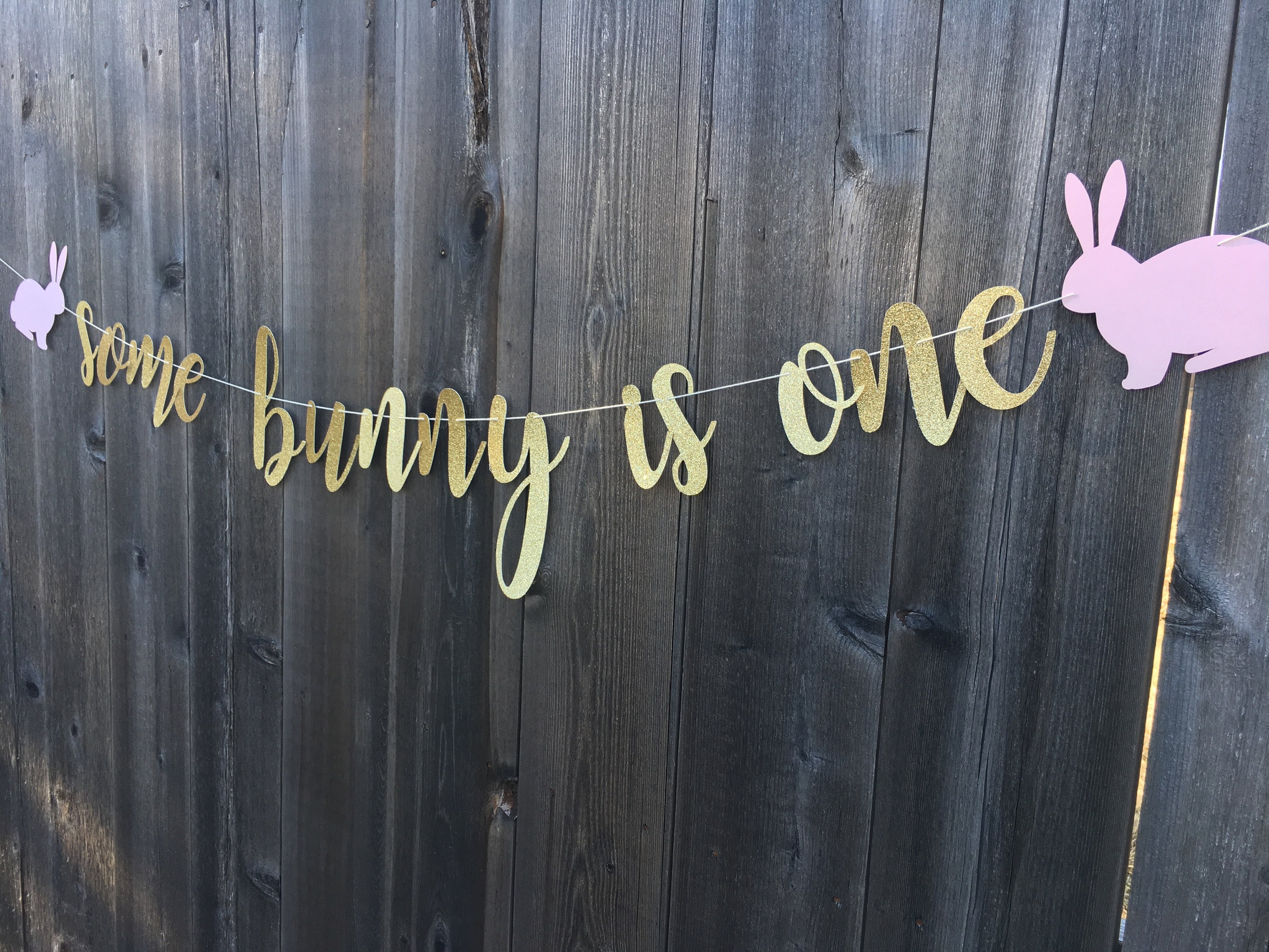 Some Bunny is One Banner Some Bunny is 1 Spring Birthday - Etsy