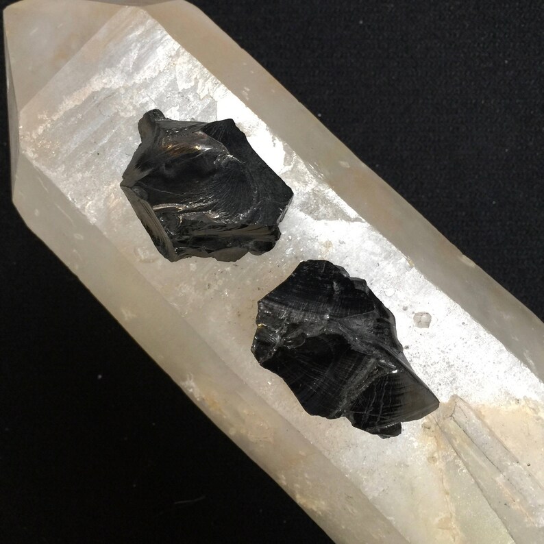 Genuine Shungite Jet Doubles Your Primordial Partners T-24 | Etsy