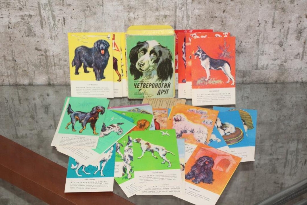 Playing Cards Set of 36 1 Cards Dog Breed Vintage Cynology - Etsy