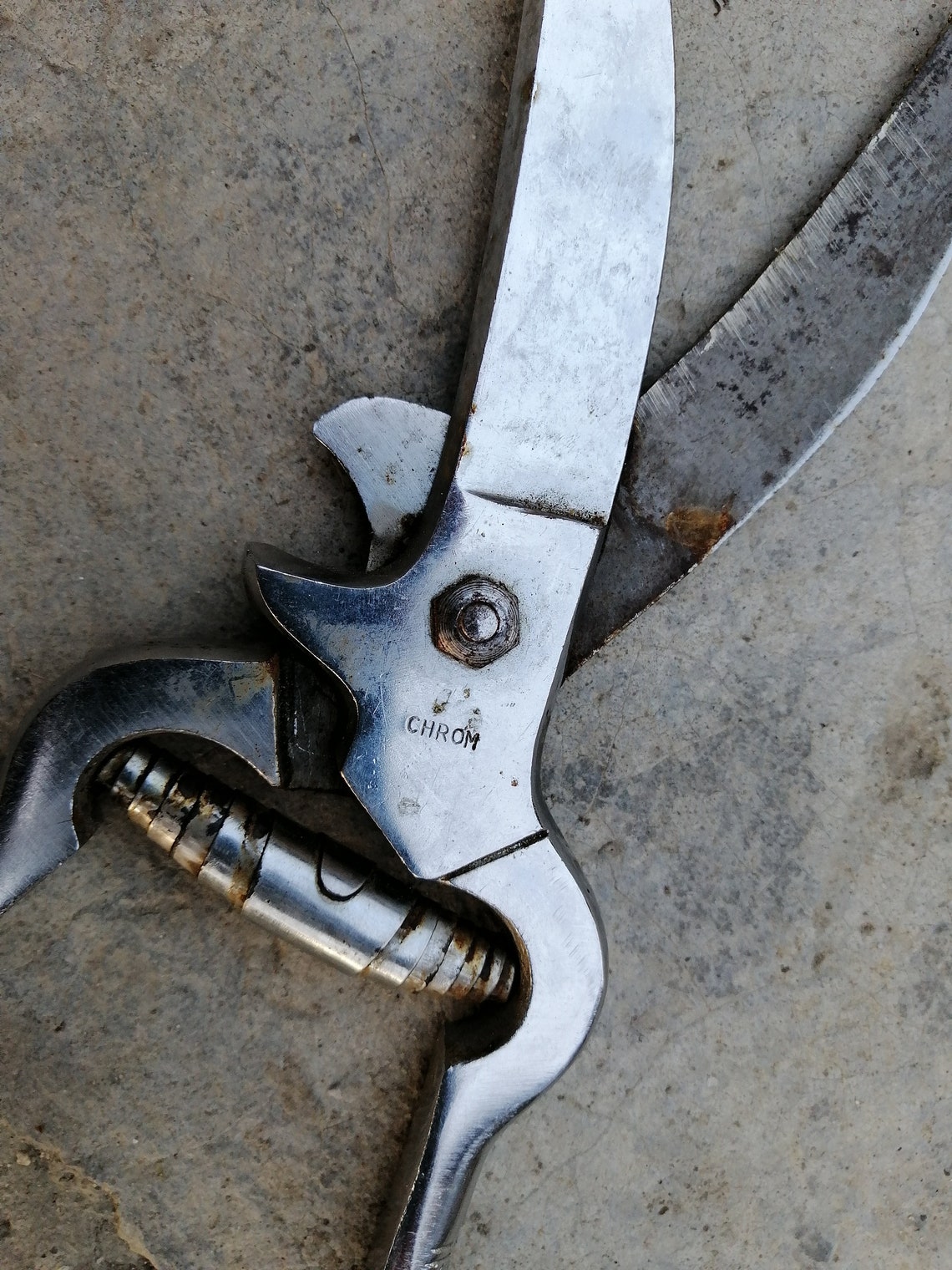 Vintage Poultry SCISSORS, Grape Shears, CHROM, 1960s - Etsy Canada