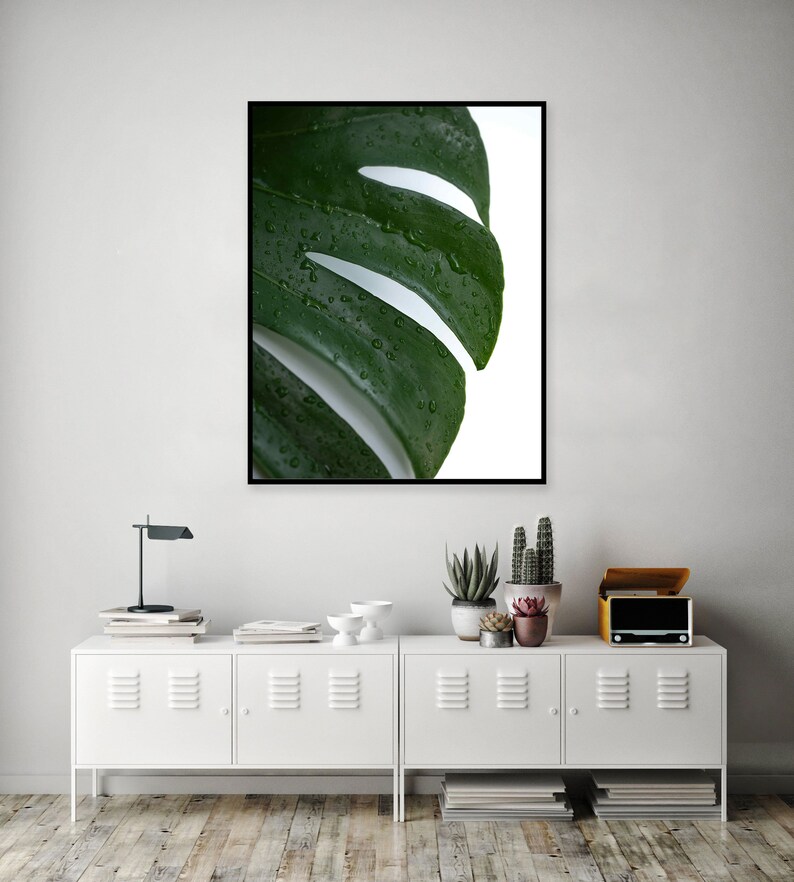 Monstera Picture Large Leaf Prints Plant Artwork Green | Etsy