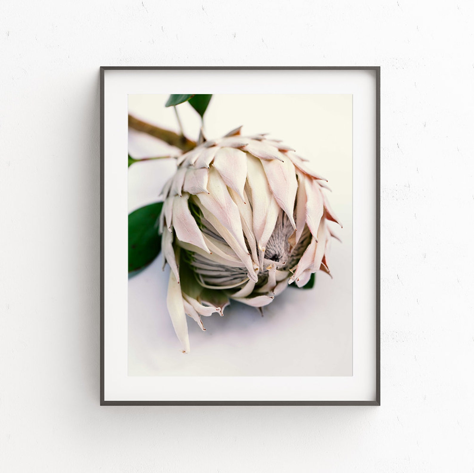 Botanical Nature Floral Art Bedroom Floral Wall Decor Fine | Etsy