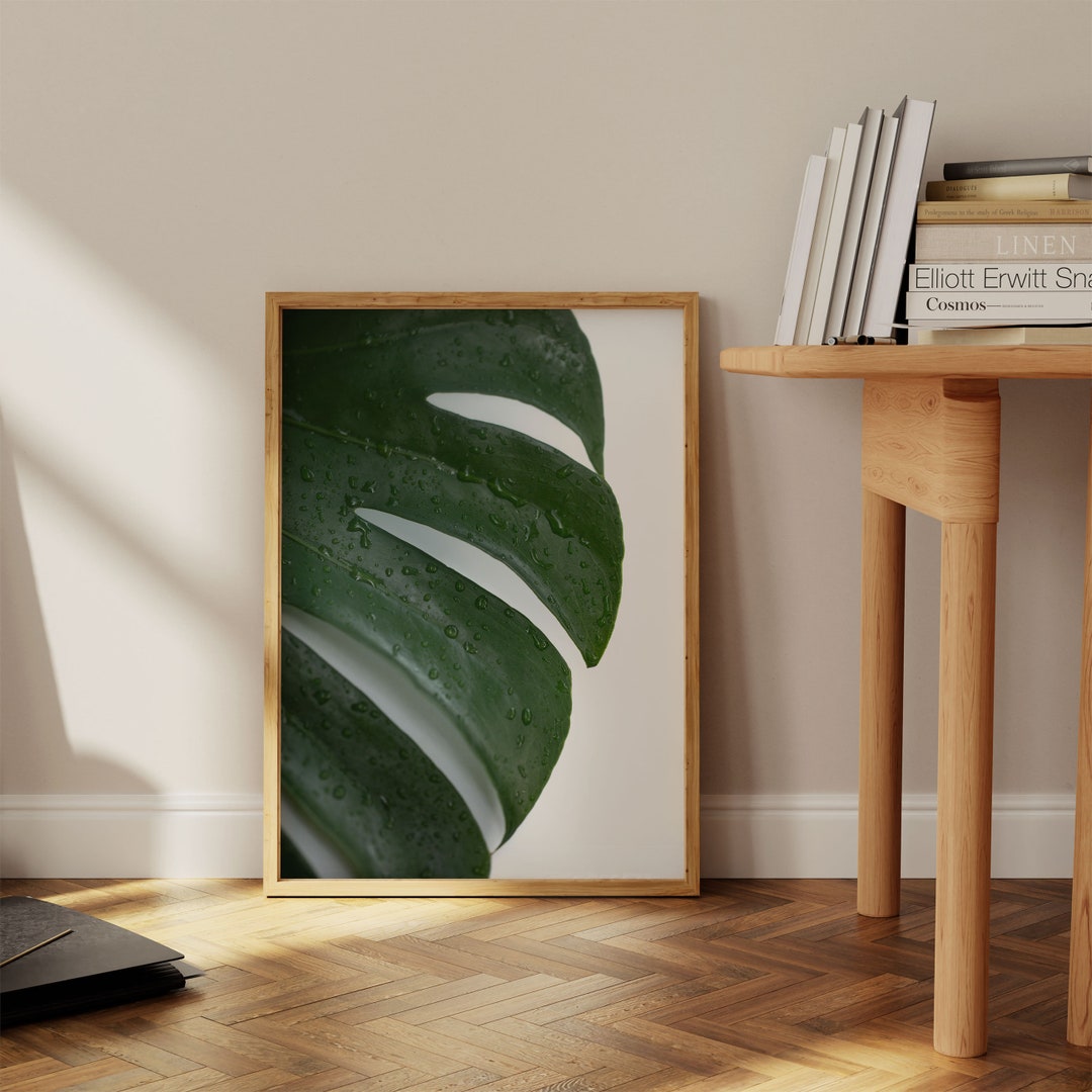 Monstera Picture Large Leaf Prints Plant Artwork Green Leaves Wall Art ...