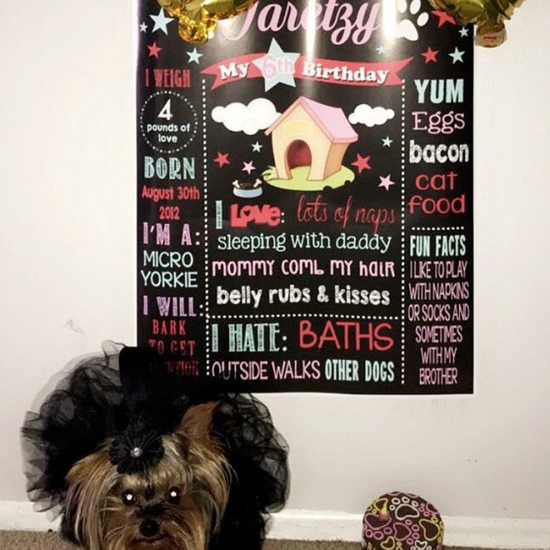 Dog First Birthday Chalkboard Sign Pet 1st Bday Chalk Board - Etsy