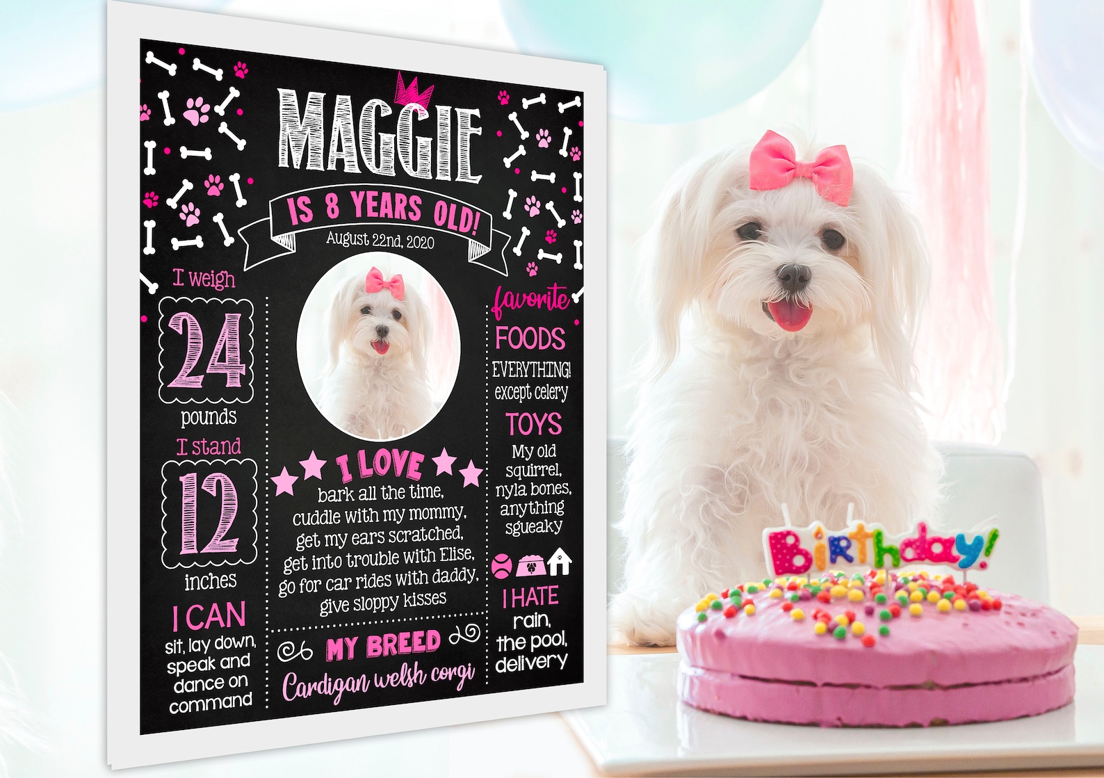 Girl Dog Birthday Board With Photo Instant Download Template | Etsy