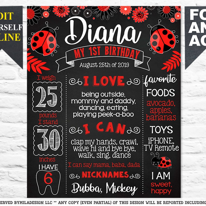 Ladybug 1st Birthday - Etsy