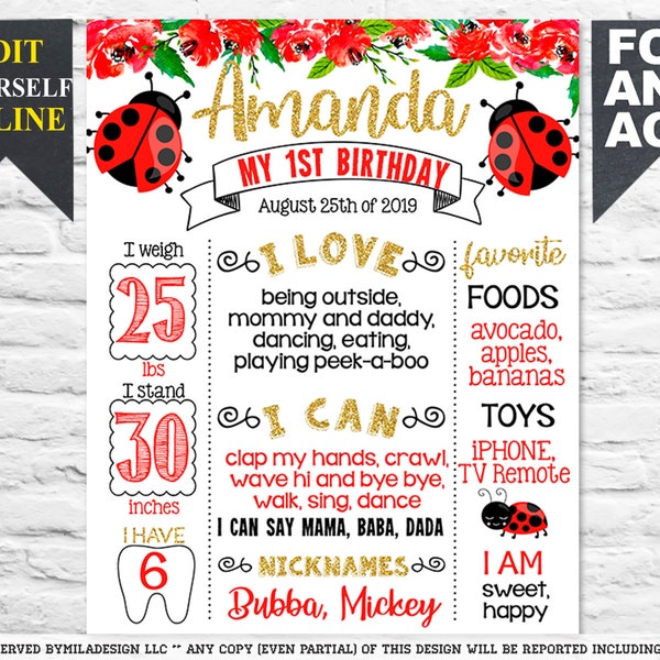 Ladybug 1st Birthday - Etsy