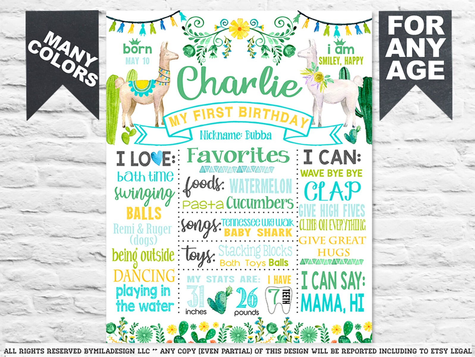 Llama First Birthday Board Sign Poster - Fiesta Mexican Cute First ...