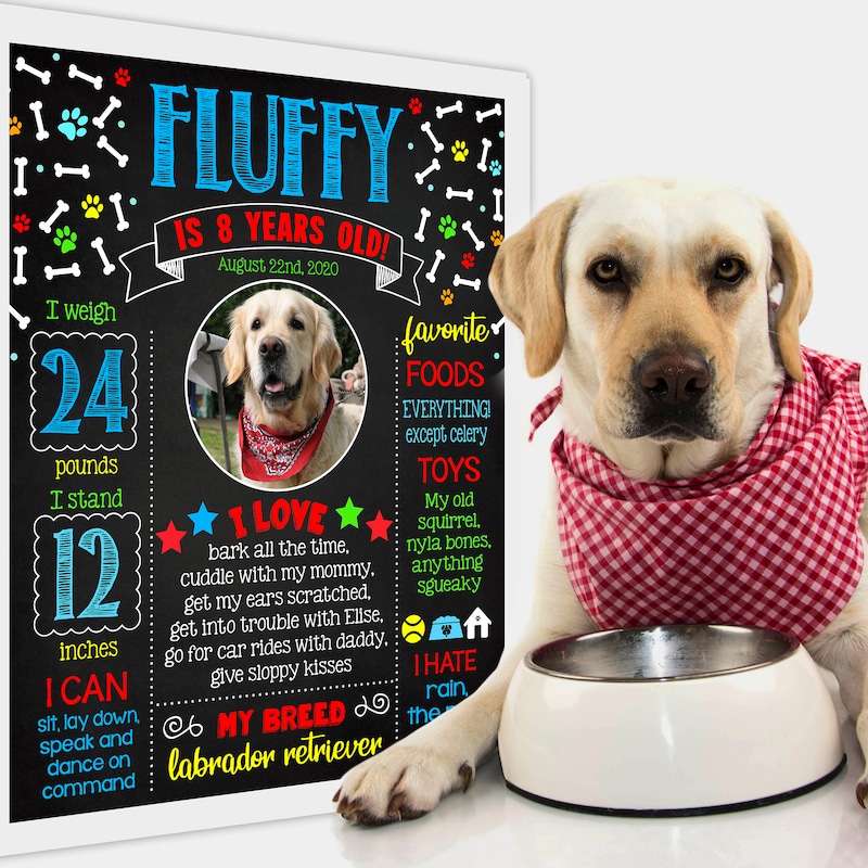 Dog Birthday - Etsy