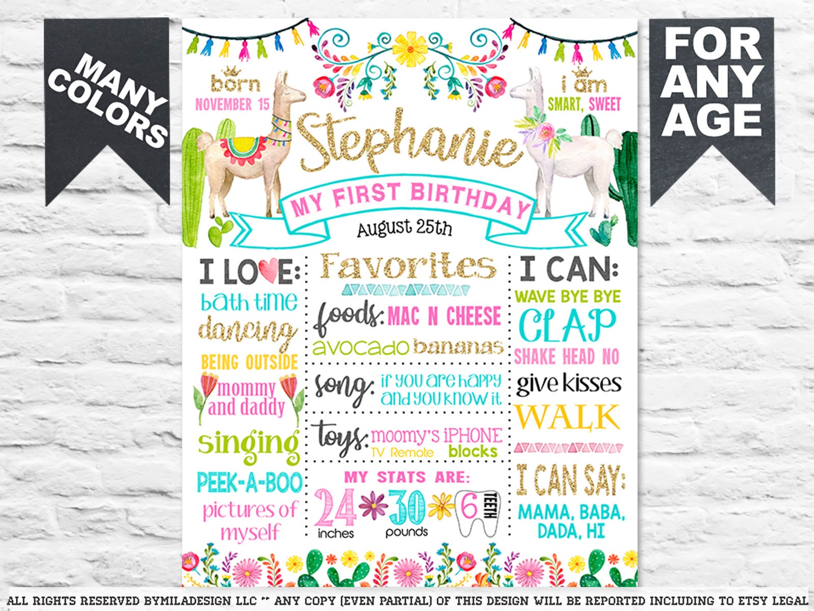 Llama First Birthday Board Sign Poster Fiesta Mexican Cute | Etsy