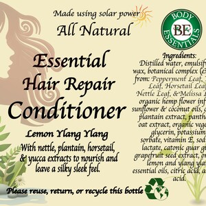 Natural Conditioner in Zero Waste Bottles, Non GMO, Chemical Free - Etsy