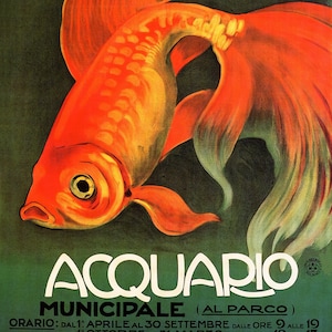 Aquarium Acquario Municipale Al Parco Italy Golden Fish Goldfish Italy ...