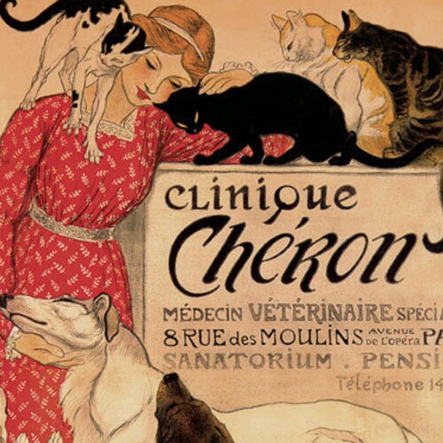 Cat Veterinarian Vet Cheron Lady Cats and Dogs Paris France - Etsy