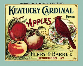 Kentucky Bird Poster - Etsy