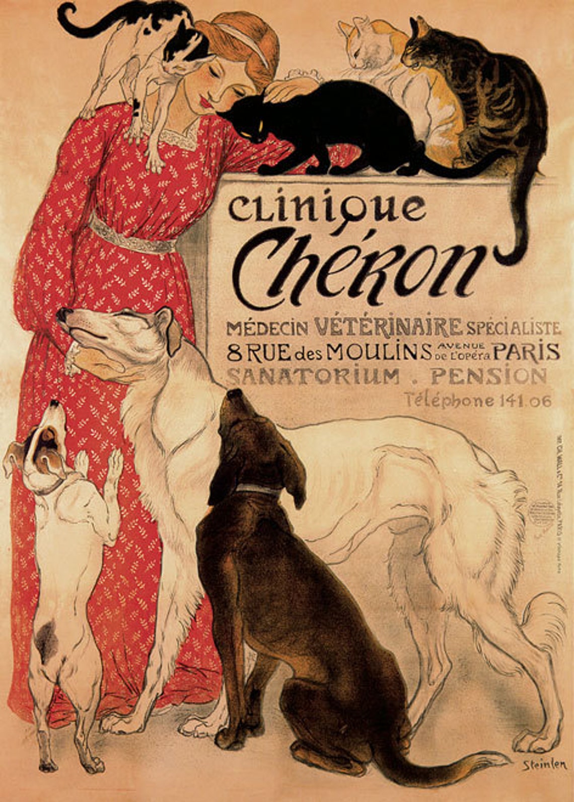Cat Veterinarian Vet Cheron Lady Cats and Dogs Paris France French ...