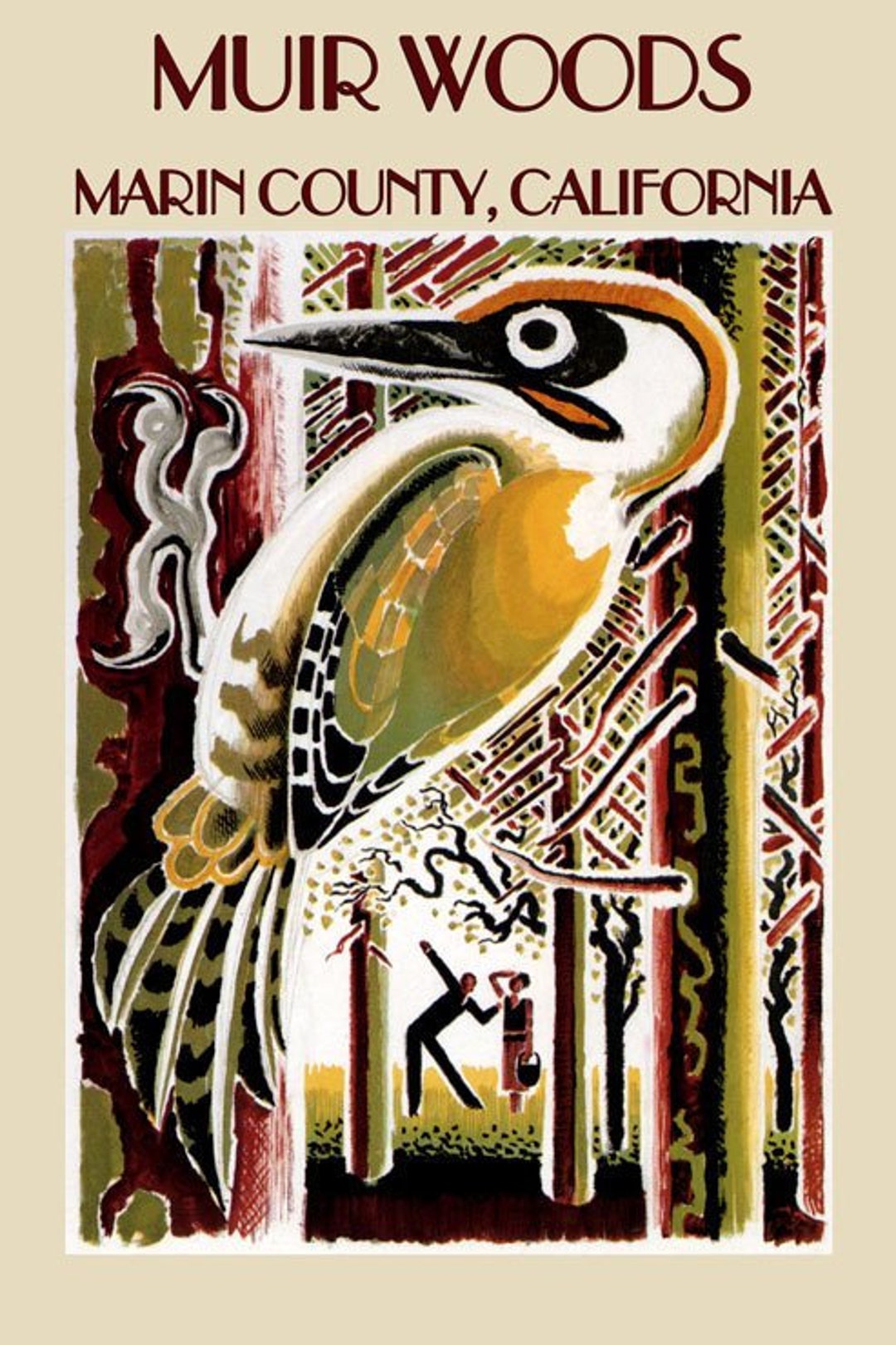 California Bird Muir Woods Birdwatching Marin County Usa Travel Tourism ...