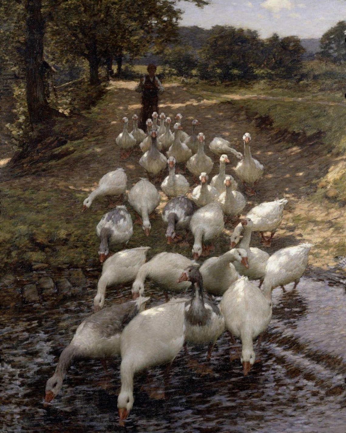 The Watersplash Farm Boy Taking Geese to Water Goose Bird - Etsy