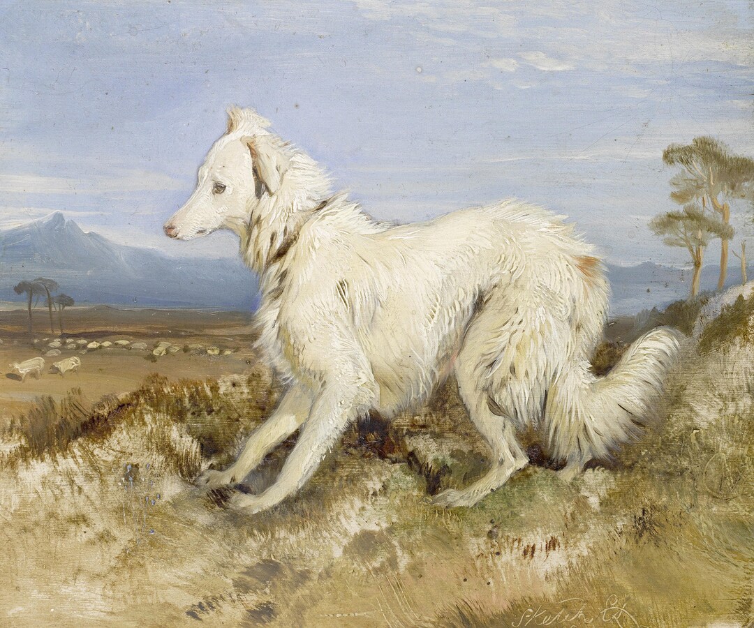 White Dog Scene in the Highlands Landscape Quality Painting by English ...