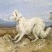 White Dog Scene in the Highlands Landscape Quality Painting by English ...