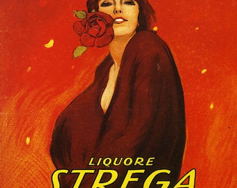 Italian Liquor Poster - Etsy