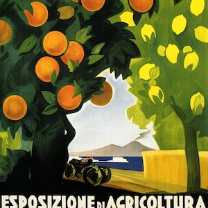 Napoli Naples Oranges Farm Agriculture Exposition Mount Vesuvius ...
